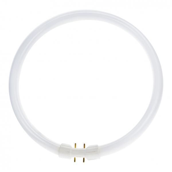 MASTER TL5 Circular 40W/830 1CT/10 - BAILEY ELECTRIC FC040830T5/01